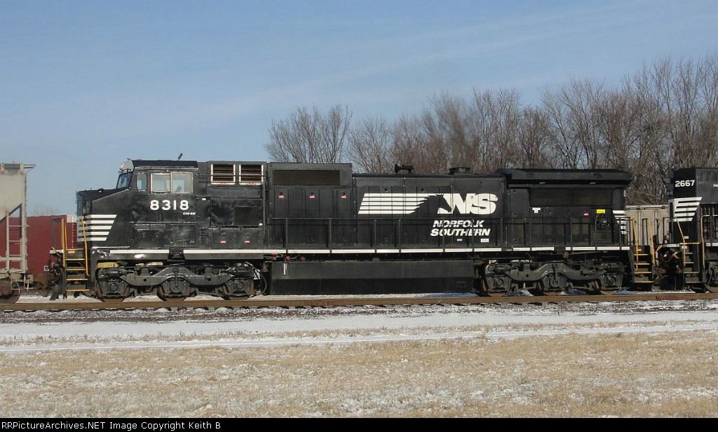 NS 8318